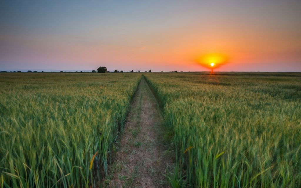 Sawera Golden City Plot for Sale in Shamshabad, Hyderabad